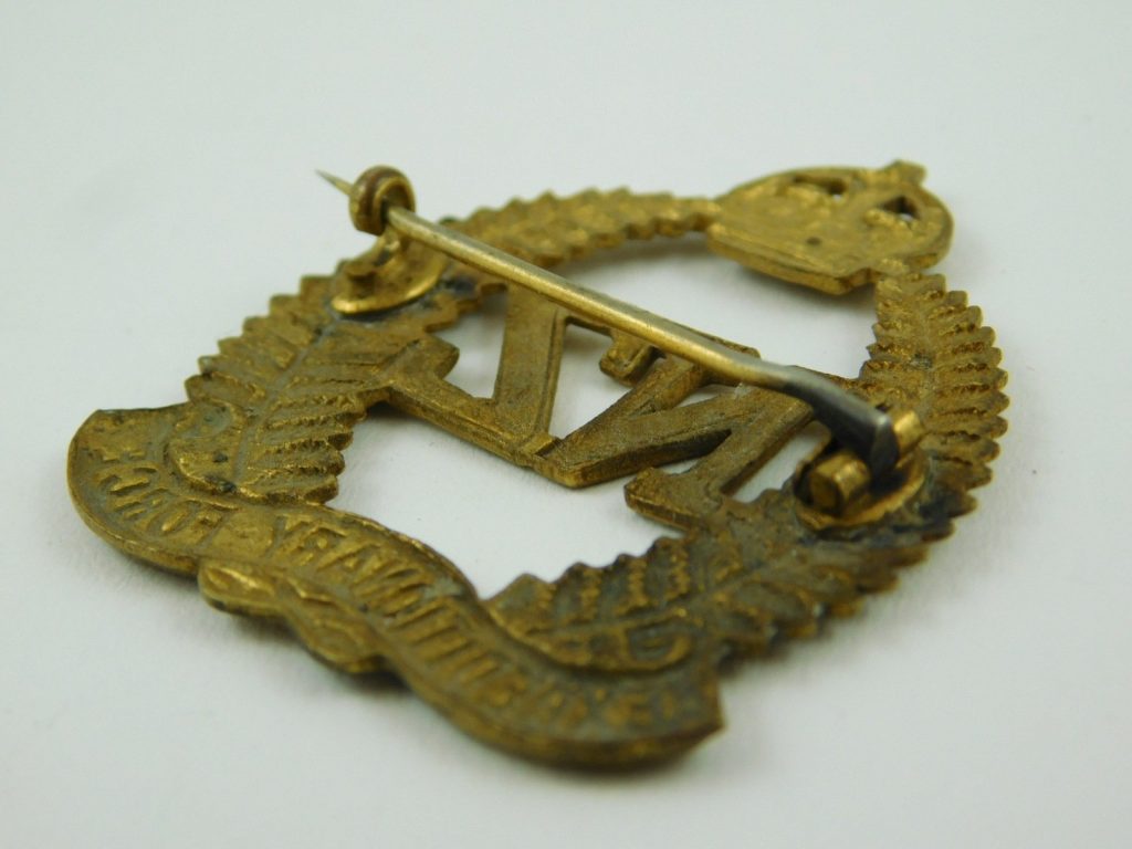 WWI New Zealand Expeditionary Force Cap Badge - Large - KC - Trade In ...